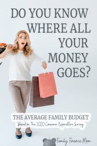 10 Different Ways 2020 Hurt the Average Family Budget